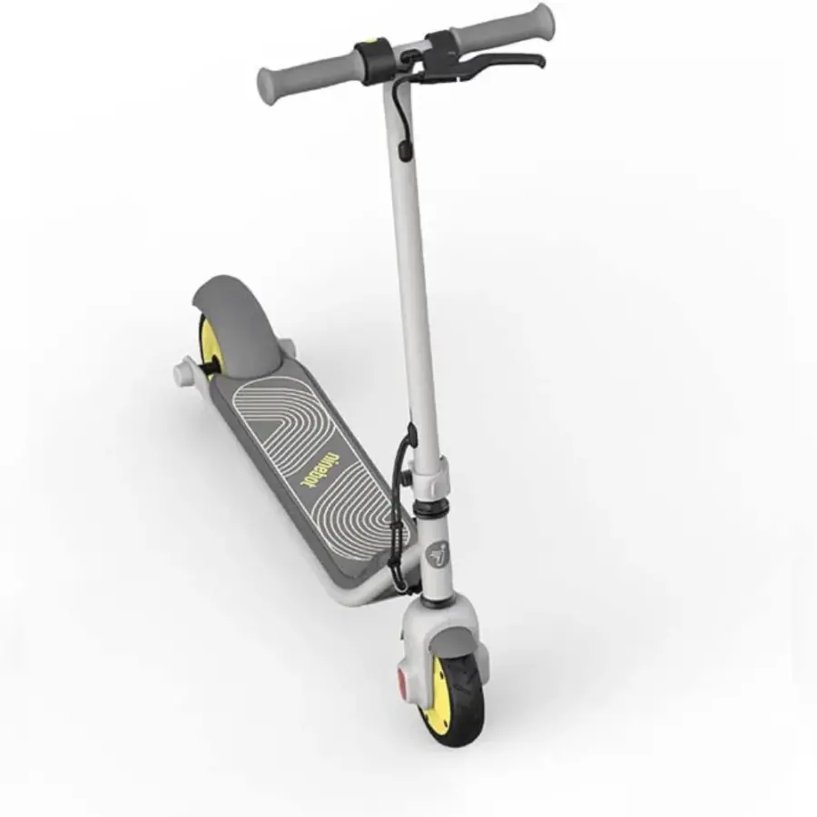 Segway Ninebot eKickScooter ZING C8 - Eshtir.com