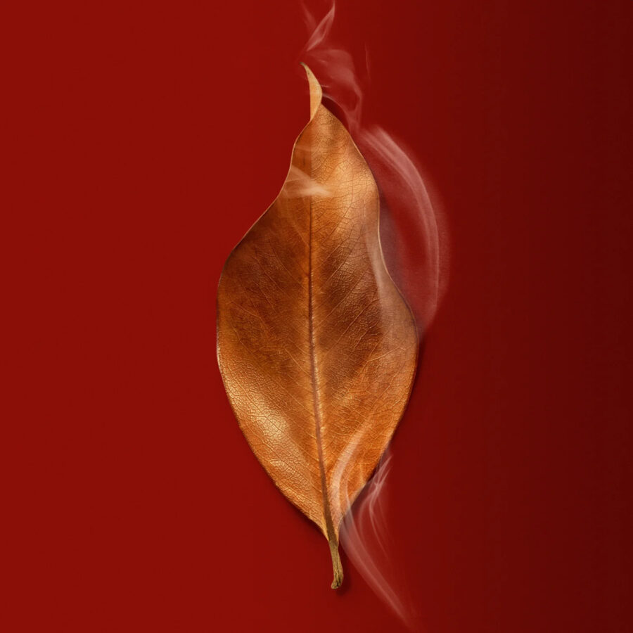 Emporio Armani Stronger With You Tobacco Eau de Parfum 100ml - Eshtir.com