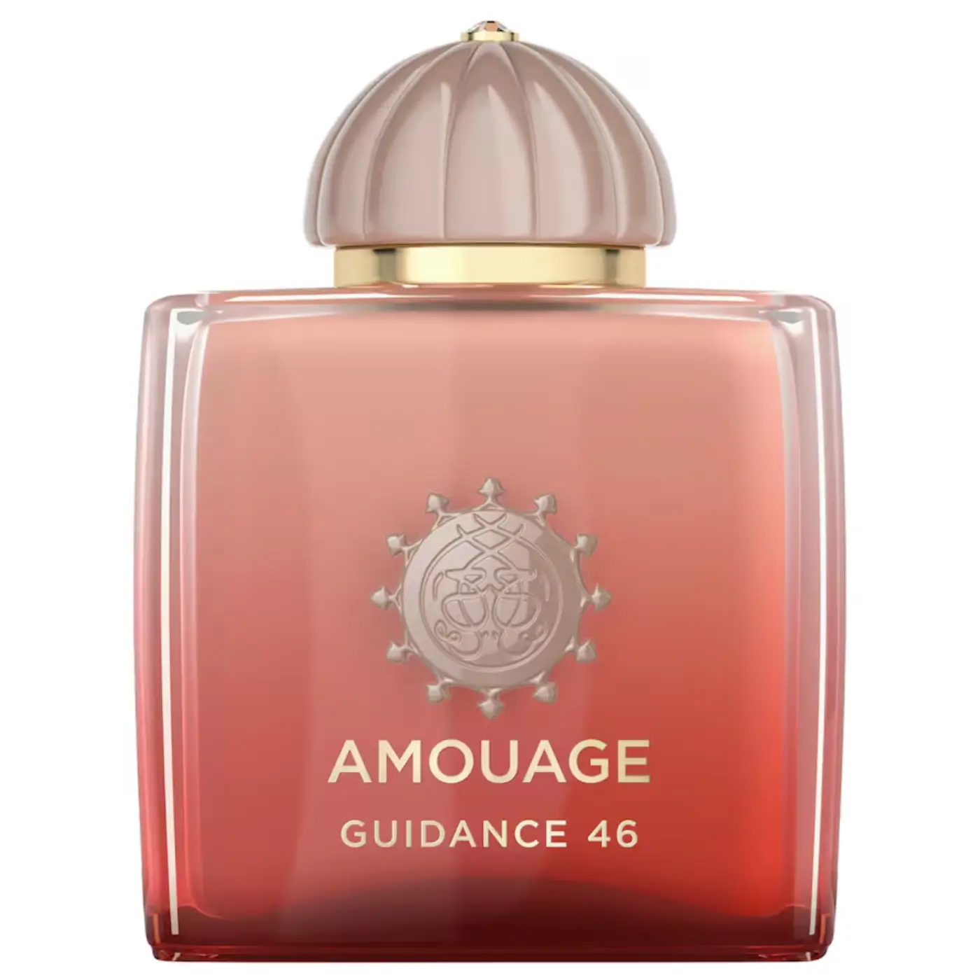Amouage Guidance 46 Extrait de Parfum 100ml - Eshtir.com